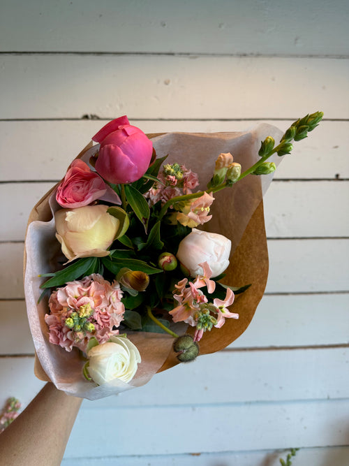 Giroflée Iron Apricot – Floramama